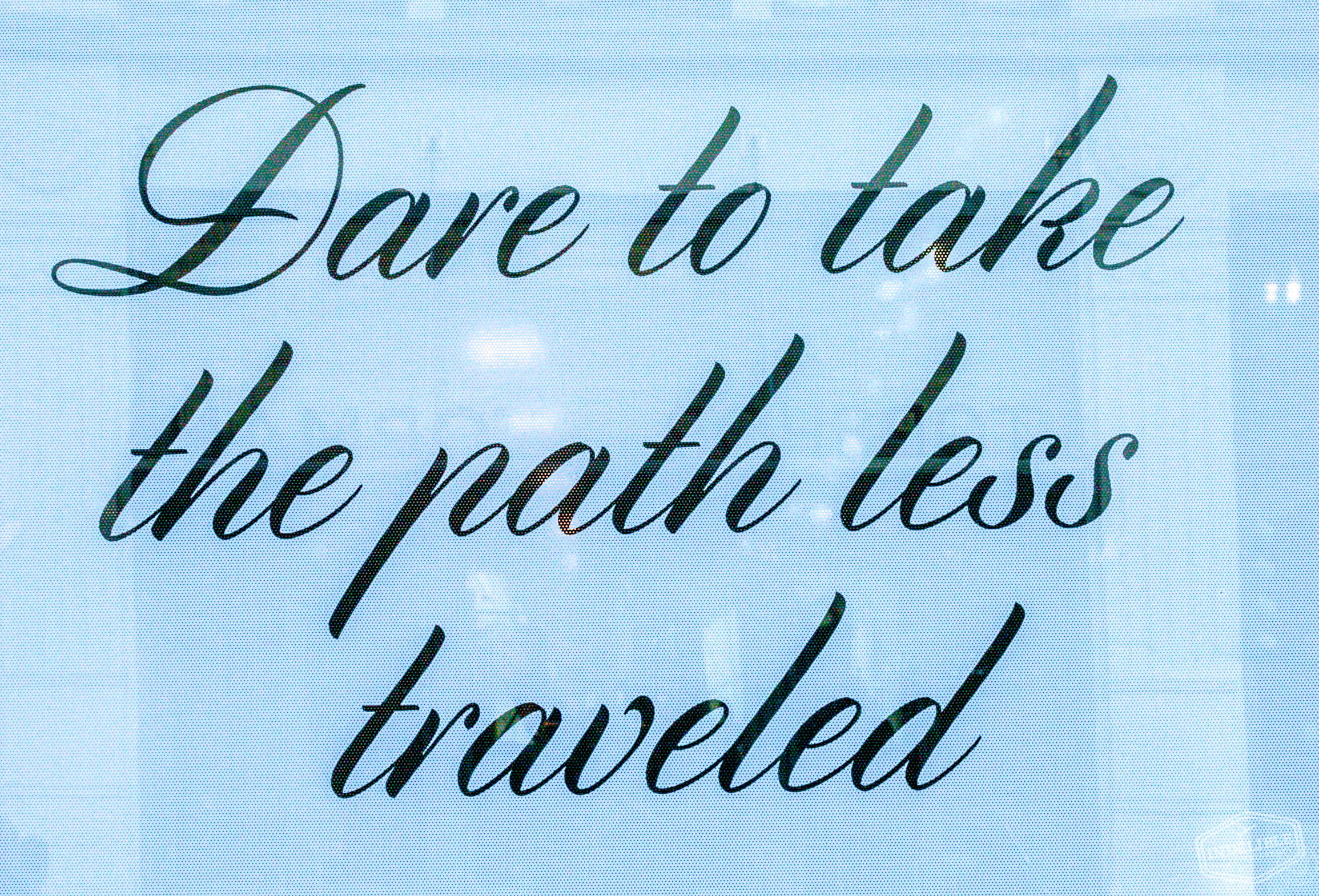 Curious Question Indelible Adventures