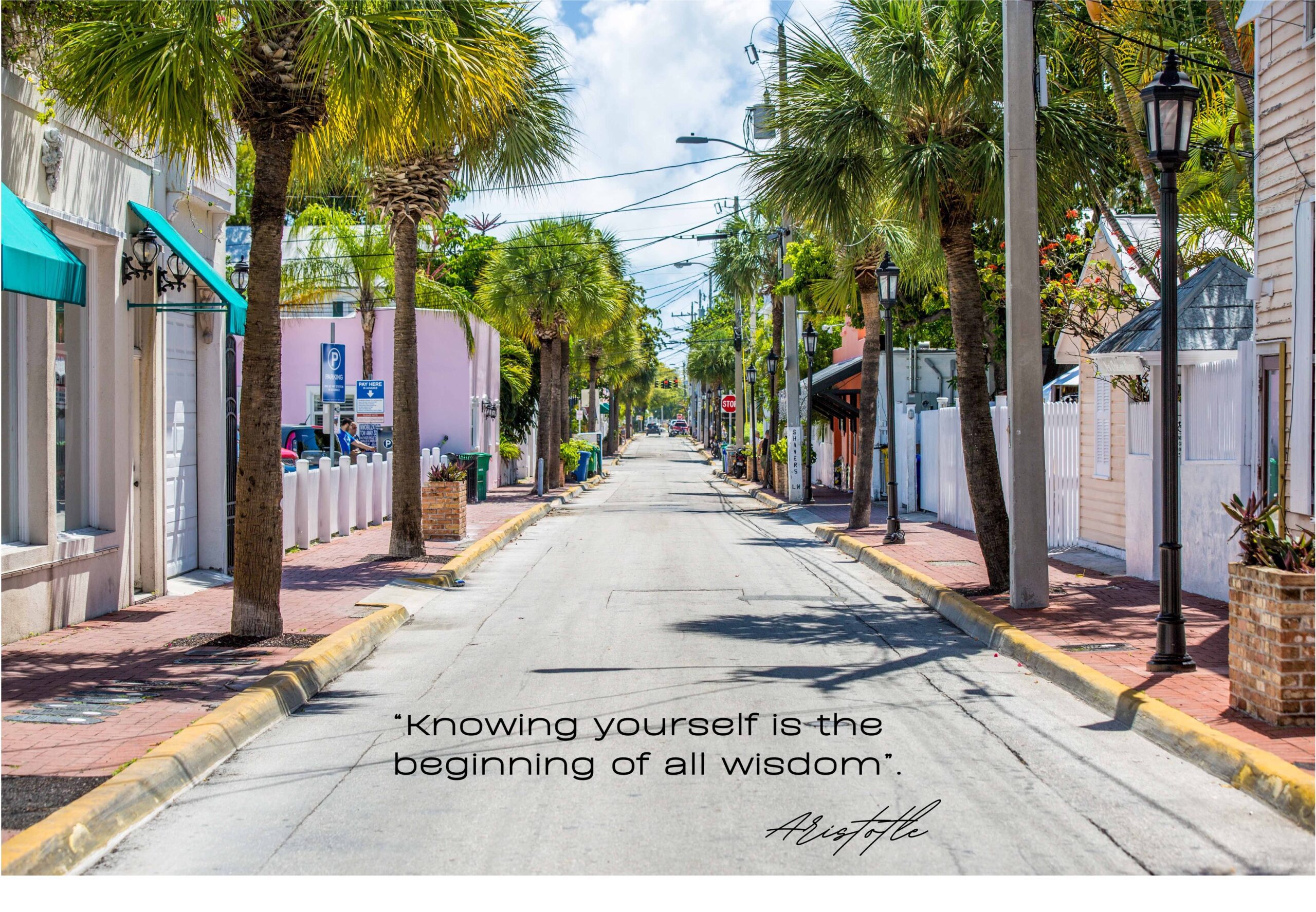 Reading the room... - Indelible Adventures